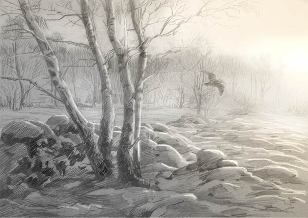 Wildlife art - Paintings in progress by artist Martin Ridley