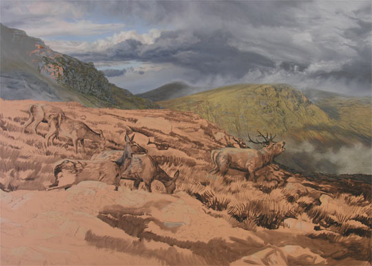 Red Deer Paintings in progress by artist Martin Ridley